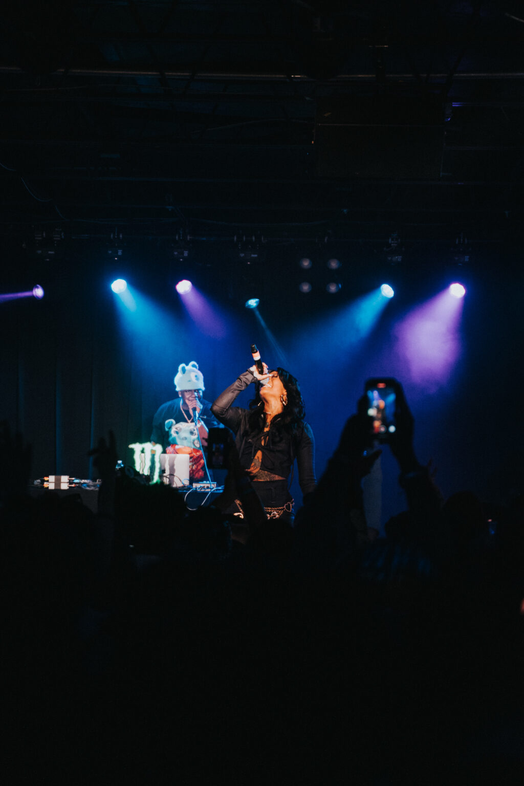 Show Recap: TiaCorine - Local Wolves